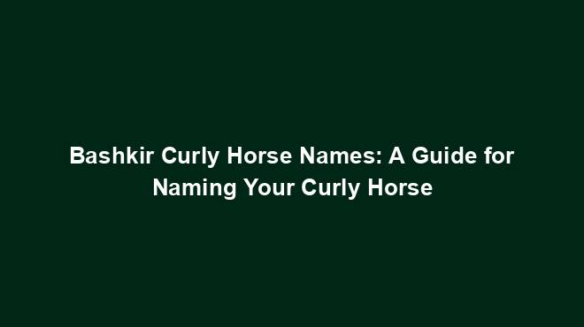 Bashkir Curly Horse Names: A Guide for Naming Your Curly Horse ...