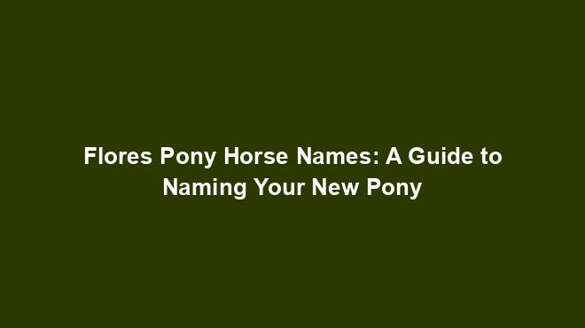 Flores Pony Horse Names: A Guide to Naming Your New Pony - HorseNames List