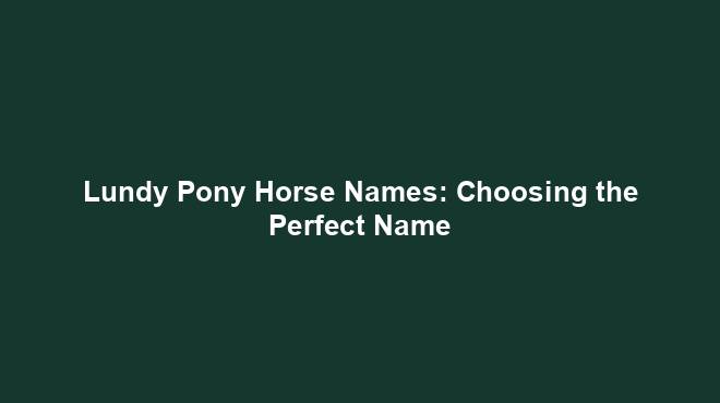 Lundy Pony Horse Names: Choosing the Perfect Name - HorseNames List