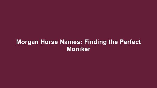 Morgan Horse Names: Finding the Perfect Moniker - HorseNames List