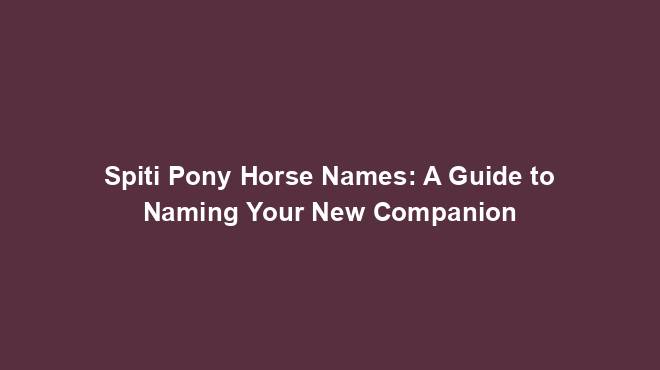 Spiti Pony Horse Names: A Guide to Naming Your New Companion ...