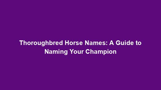 Thoroughbred Horse Names: A Guide to Naming Your Champion - HorseNames List